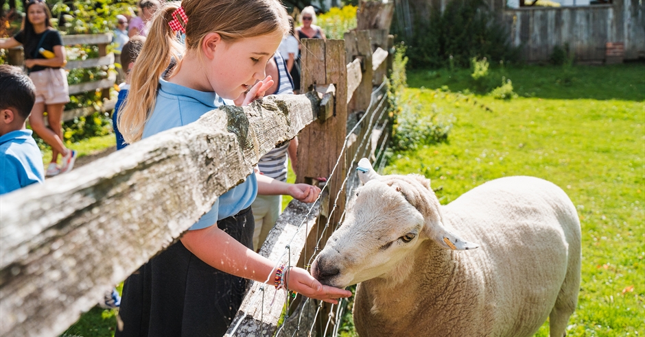 Manor Farm - Visit Hampshire