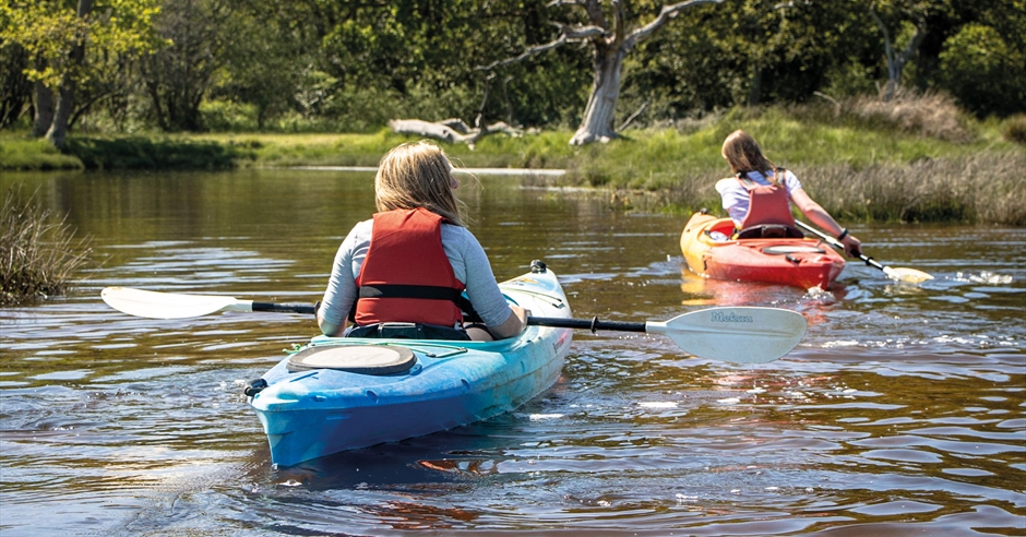 New Forest Activities - Visit Hampshire