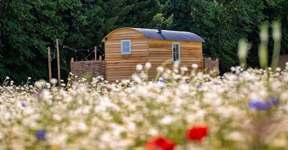 Summerdown - Basingstoke - Visit Hampshire