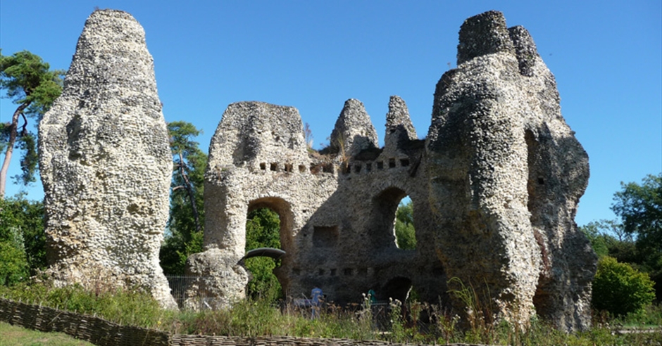 Odiham Castle - Visit Hampshire