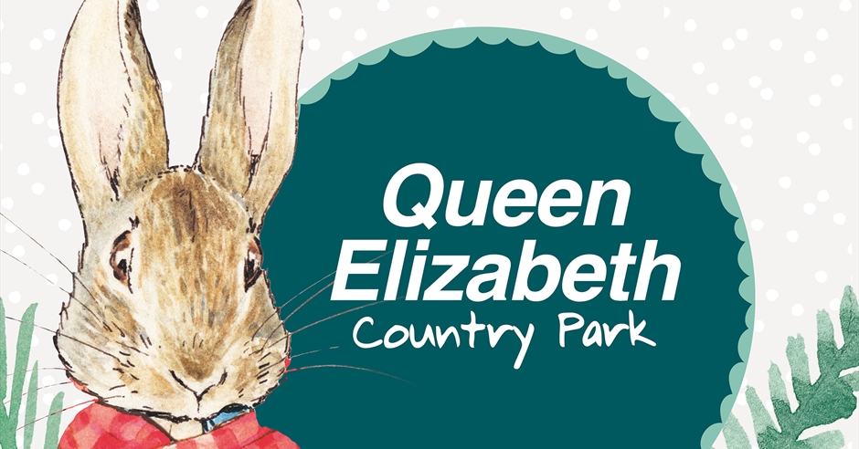 A Peter Rabbit™ Festive Adventure at Queen Elizabeth Country Park ...