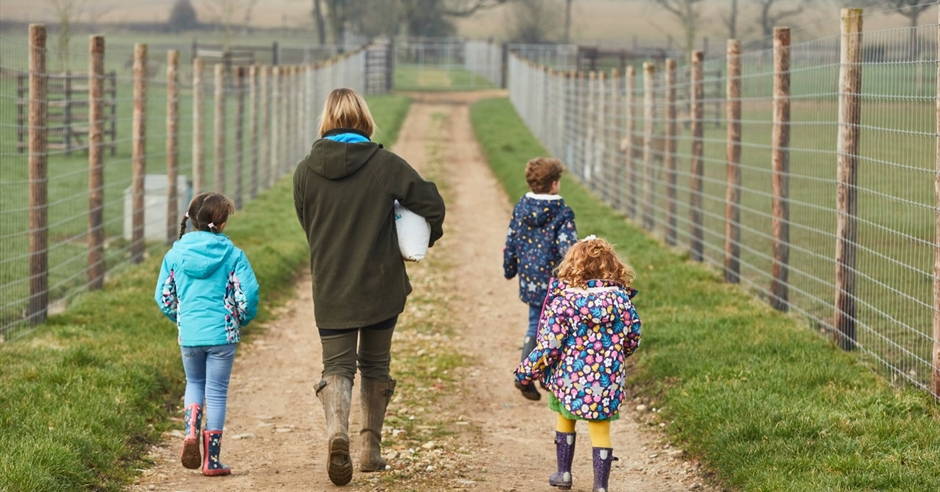 Sky Park Farm - Farm and Visitor Centre - Visit Hampshire
