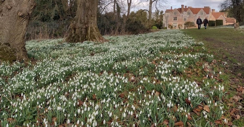 Snowdrop Sunday at Chawton House - Visit Hampshire