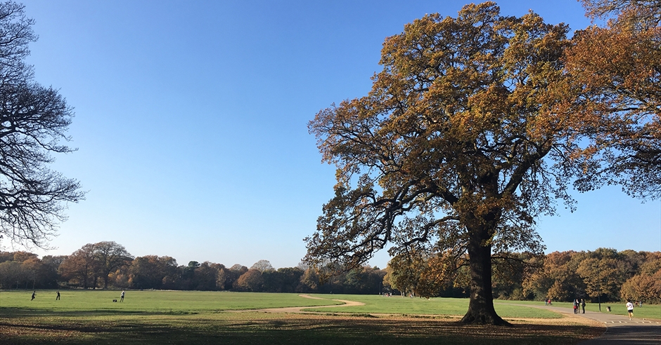 Southampton Common - Visit Hampshire