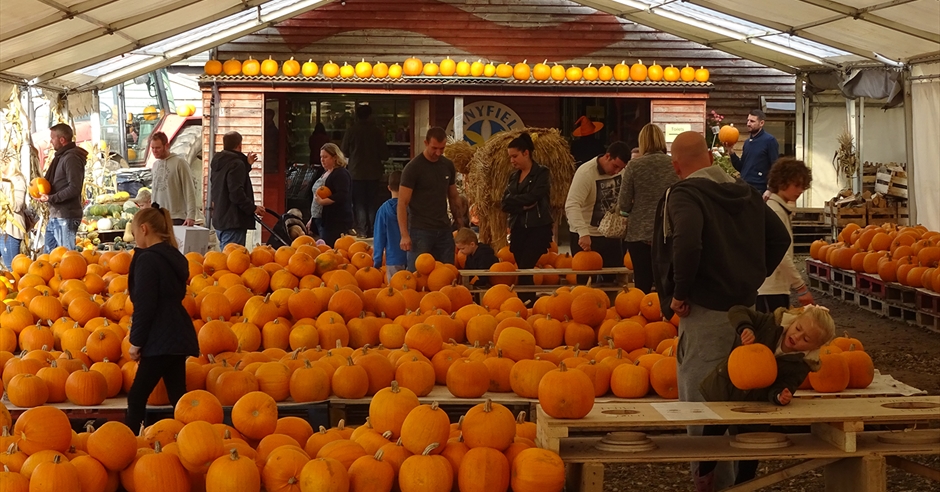 Pumpkin Time at Sunnyfields Farm - Visit Hampshire