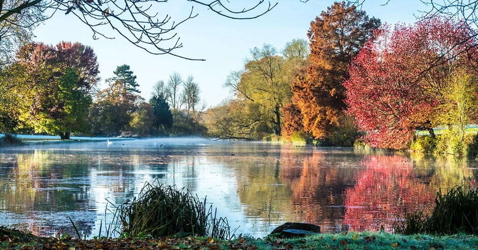 The Vyne - Visit Hampshire