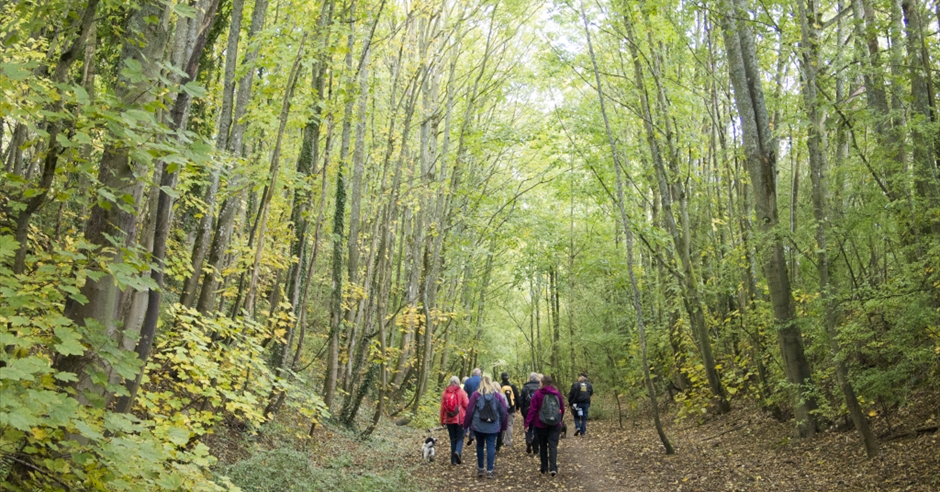 The Watercress Way - Visit Hampshire