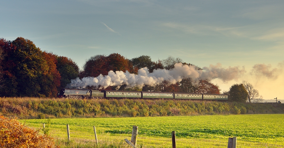 The Watercress Line - Visit Hampshire