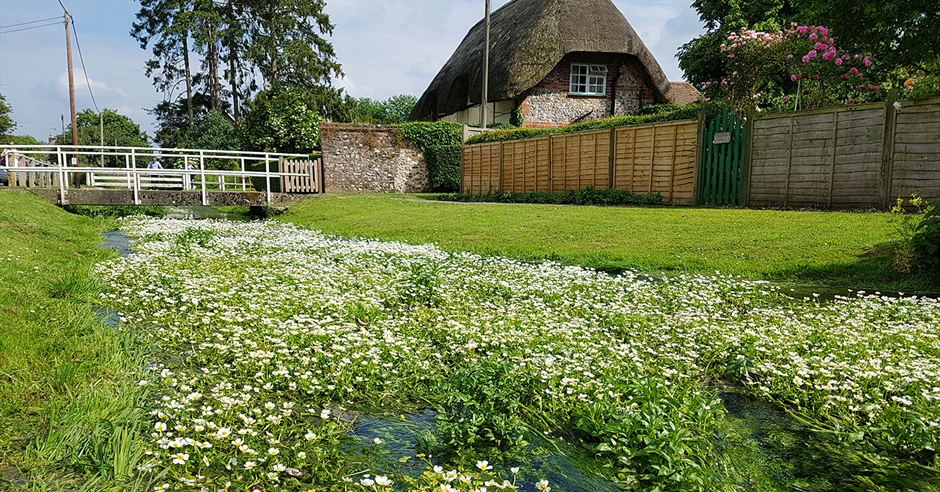 Watercress & Winterbournes: The Myth and Magic of Water Meadows - Visit ...