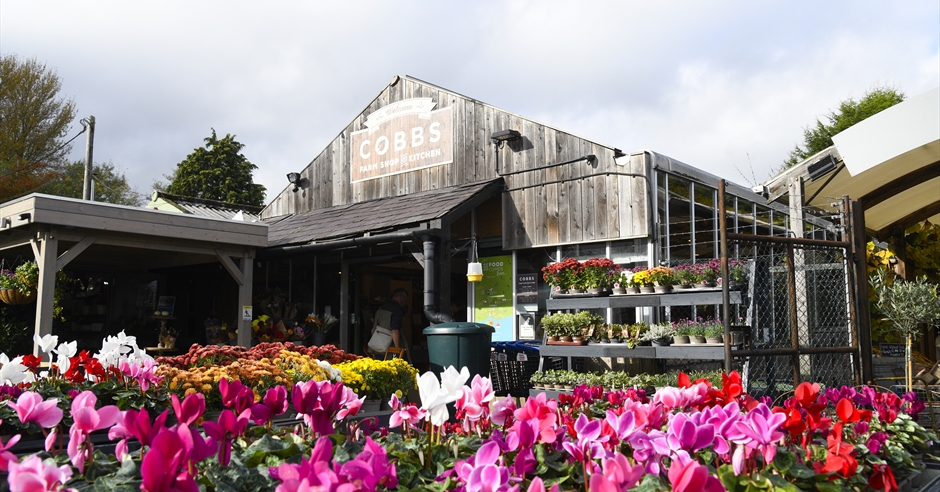 Cobbs Farm Shop & Kitchen - Winchester - Visit Hampshire