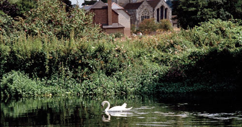 Fordingbridge Information Office - Tourist Information Centres in ...