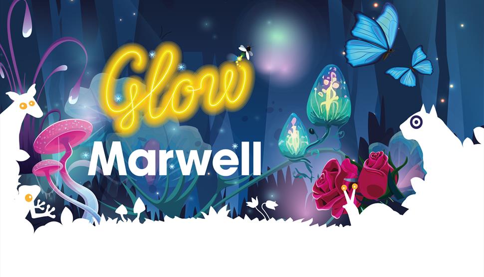 Glow Marwell at Marwell Zoo - Visit Hampshire