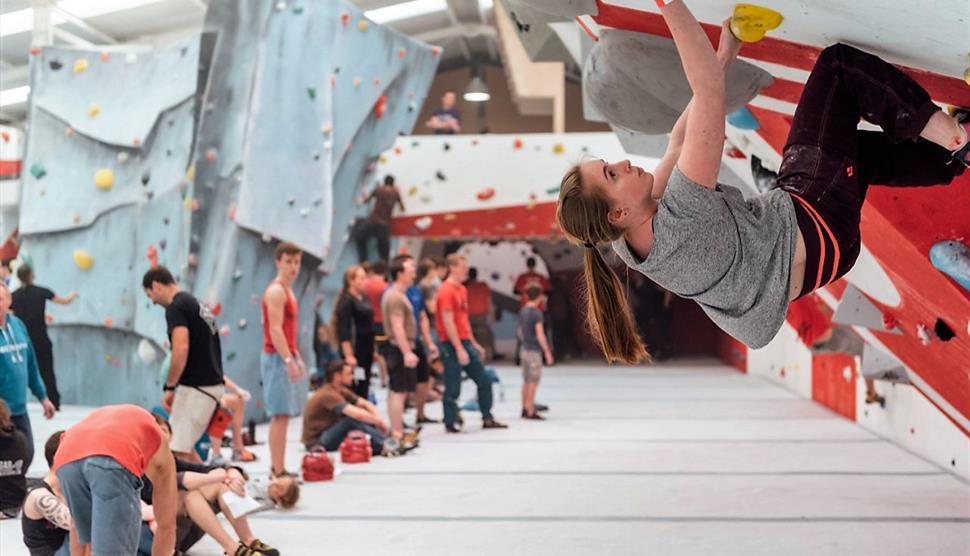 Red Spider Climbing - Visit Hampshire