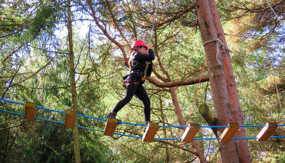 Woodland Adventure Day with New Forest Activities - Visit Hampshire