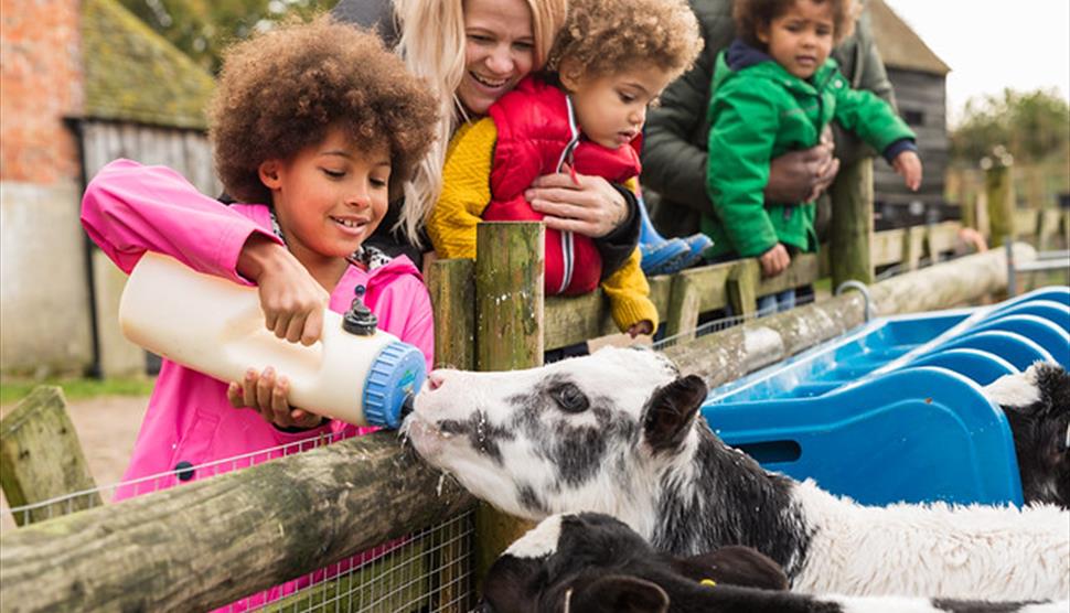 Manor Farm - Visit Hampshire