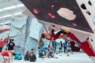 Red Spider Climbing - Visit Hampshire