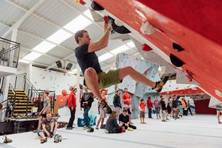 Red Spider Climbing - Visit Hampshire