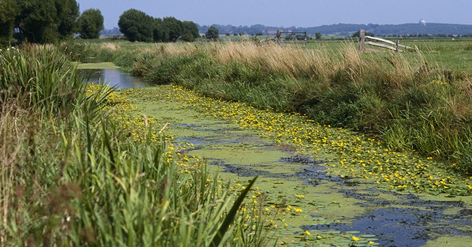 Pevensey in East Sussex - Visit 1066 Country
