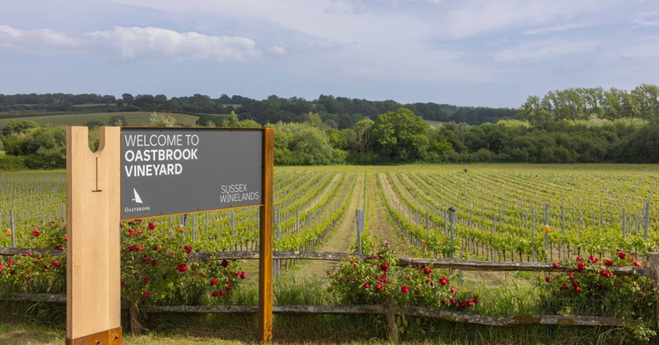 Meet the vineyards behind the Rother Wine Triangle - Visit 1066 Country
