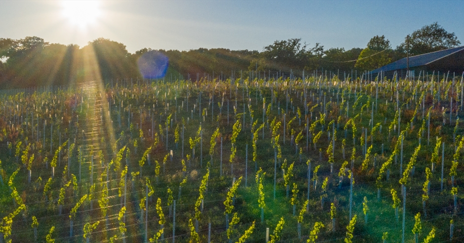 1066 Country of Origin - Visit 1066 Country