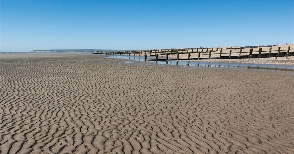 Strandline Stroll - Visit 1066 Country
