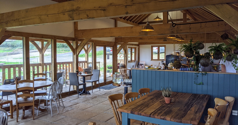 Tibbs Farm Cafe, Farm Shop and PYO - RYE - Visit 1066 Country