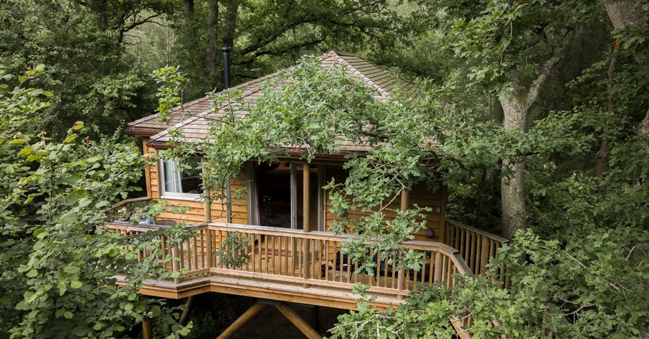 Downash Wood Treehouses - WADHURST - Visit 1066 Country