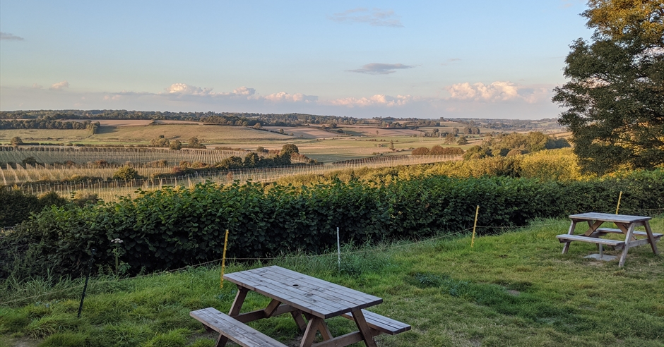 Tibbs Farm Cafe, Farm Shop and PYO - RYE - Visit 1066 Country