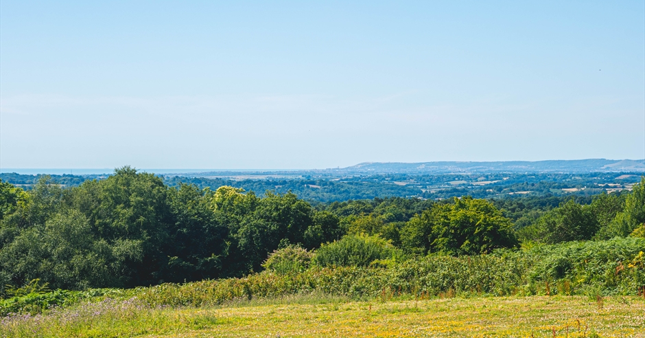 White Hart Netherfield - nr. Battle - Visit 1066 Country