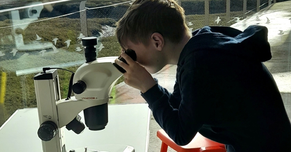 Microscope and Mark Making Monday - Visit 1066 Country