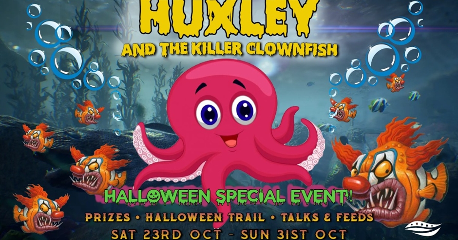 *HALLOWEEN SPECIAL EVENT* Huxley and the Killer Clownfish - Visit 1066 ...