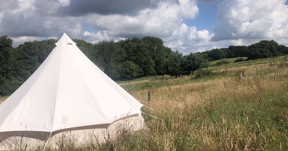 Wilding in the Weald - Hastings - Visit 1066 Country