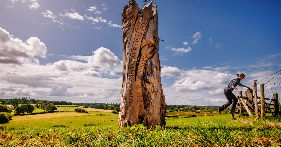 1066 Country Walk - Visit 1066 Country