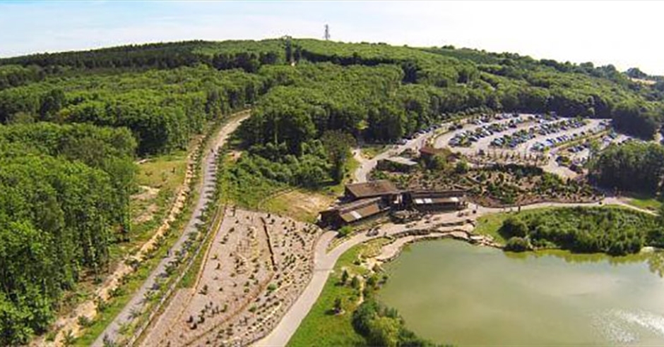 The Bedgebury Twilight 10K Run - Visit 1066 Country