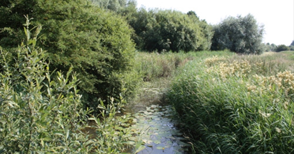 Combe Valley Countryside Park - Visit 1066 Country