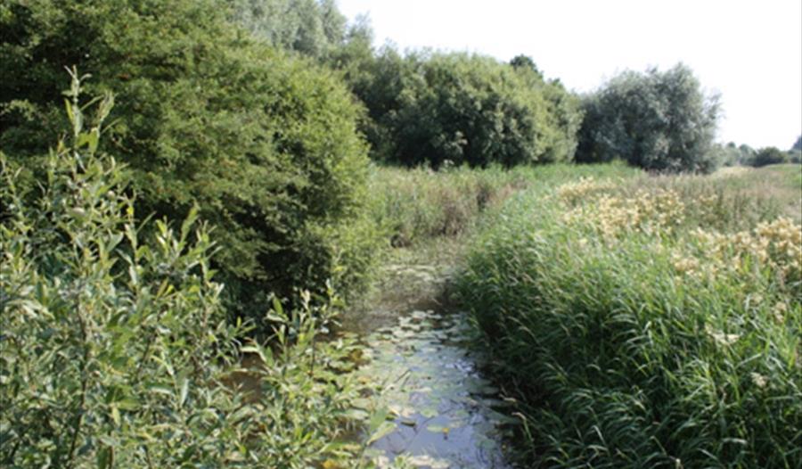 Combe Valley Countryside Park - Visit 1066 Country