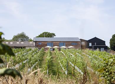 Tillingham - Peasmarsh - Visit 1066 Country