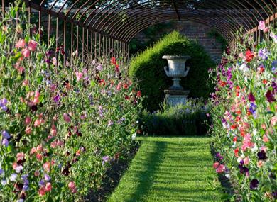 Helmingham Hall Gardens - Stowmarket - Visit Heritage