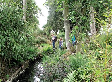 Copped Hall - Epping - Visit Heritage