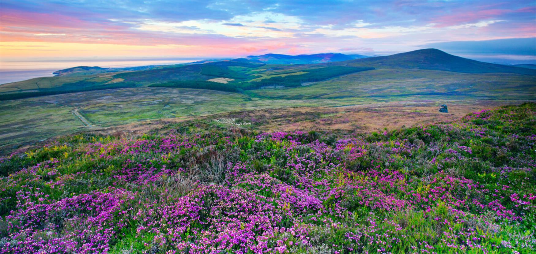 10 Scenic Places Well Worth a Visit in the Isle of Man - Visit Isle of Man