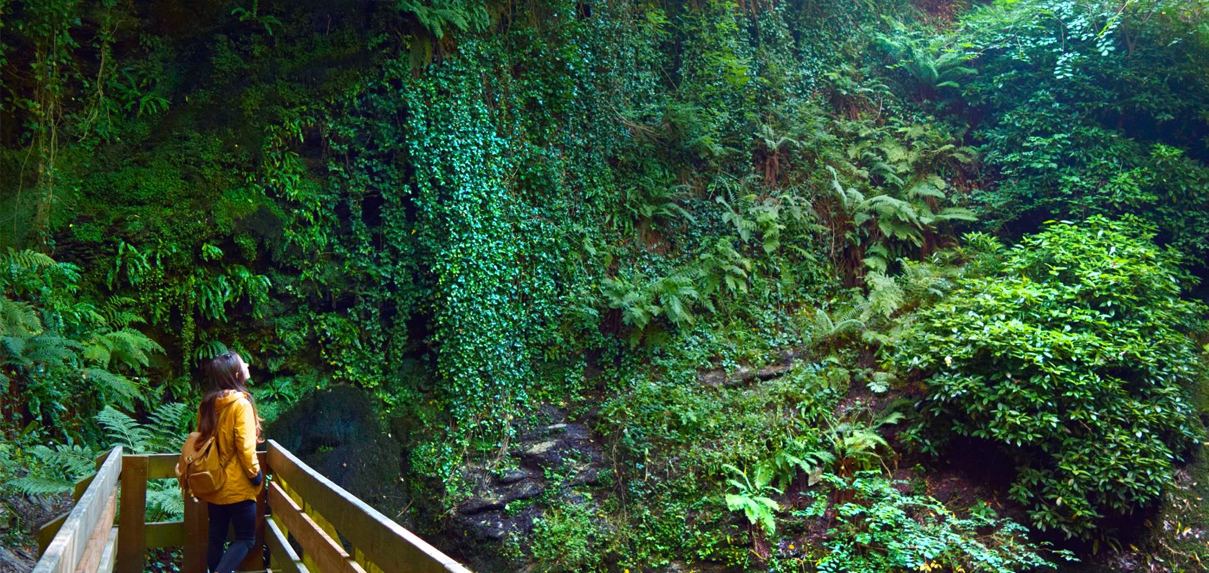 Mystic Manx Waterfalls - Visit Isle of Man