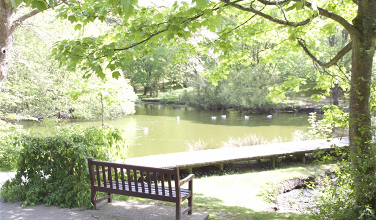 Tynwald National Park & Arboretum - Visit Isle of Man