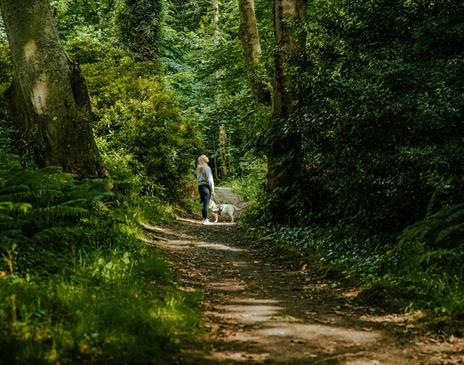 Glens & Forests - Visit Isle of Man