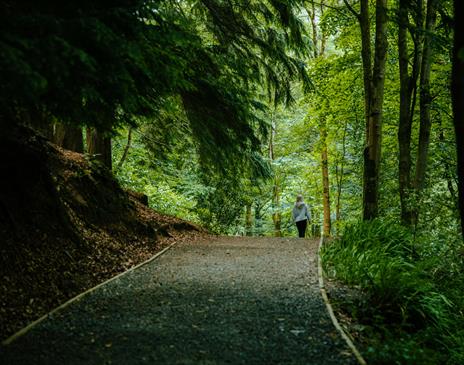 Glens & Forests - Visit Isle of Man