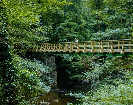 Glens & Forests - Visit Isle of Man