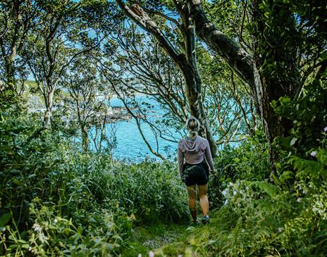 Glens & Forests - Visit Isle of Man