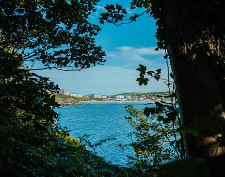 Glens & Forests - Visit Isle of Man