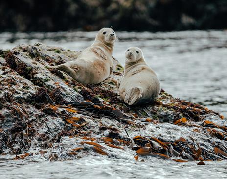 Sea Fishing - Visit Isle of Man