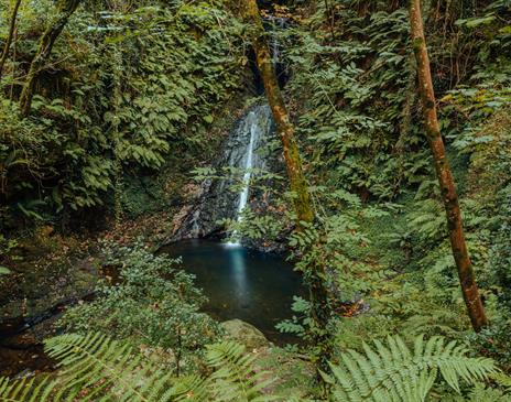 Glens & Forests - Visit Isle of Man