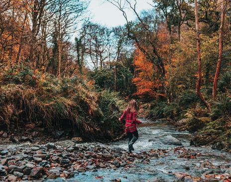 Glens & Forests - Visit Isle of Man